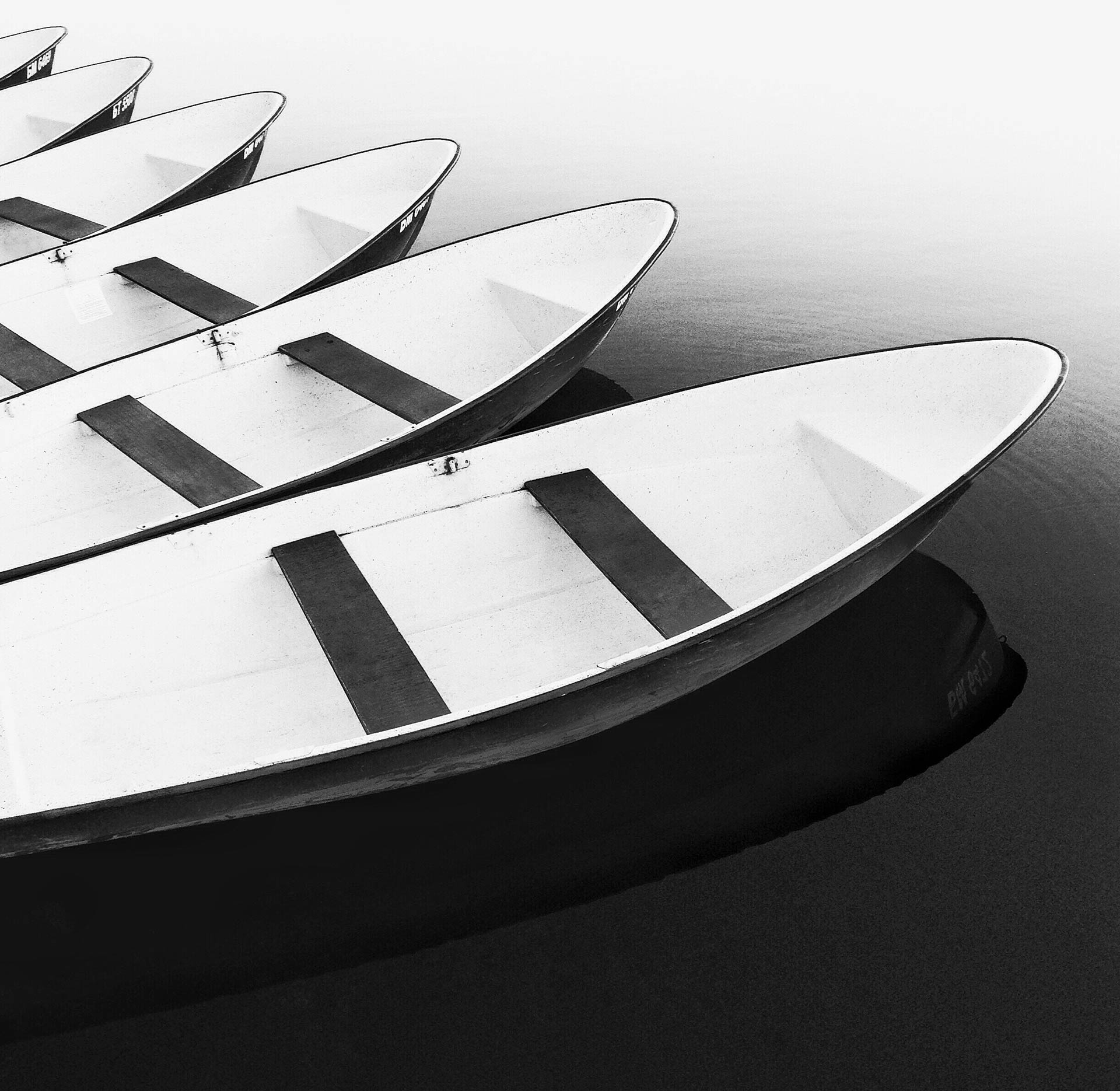 How to use focus peaking for maximum sharpness – Sisi Madeline